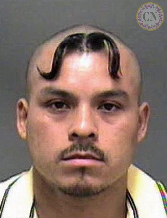 Worst Mugshots Ever Worlds Worst Mug Shots/e Fits