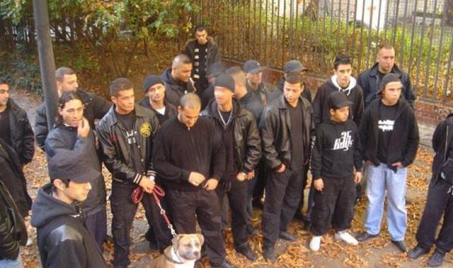 TOP 7 the most dangerous gangs in Europe_国际_蛋蛋赞