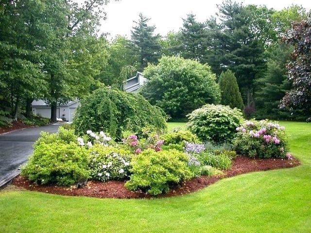 Mulch Landscaping Berms